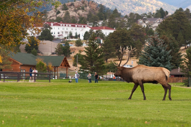 How to Enjoy the Fall Colors in Estes Park