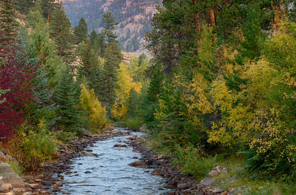 How to Enjoy Fall River in Estes Park